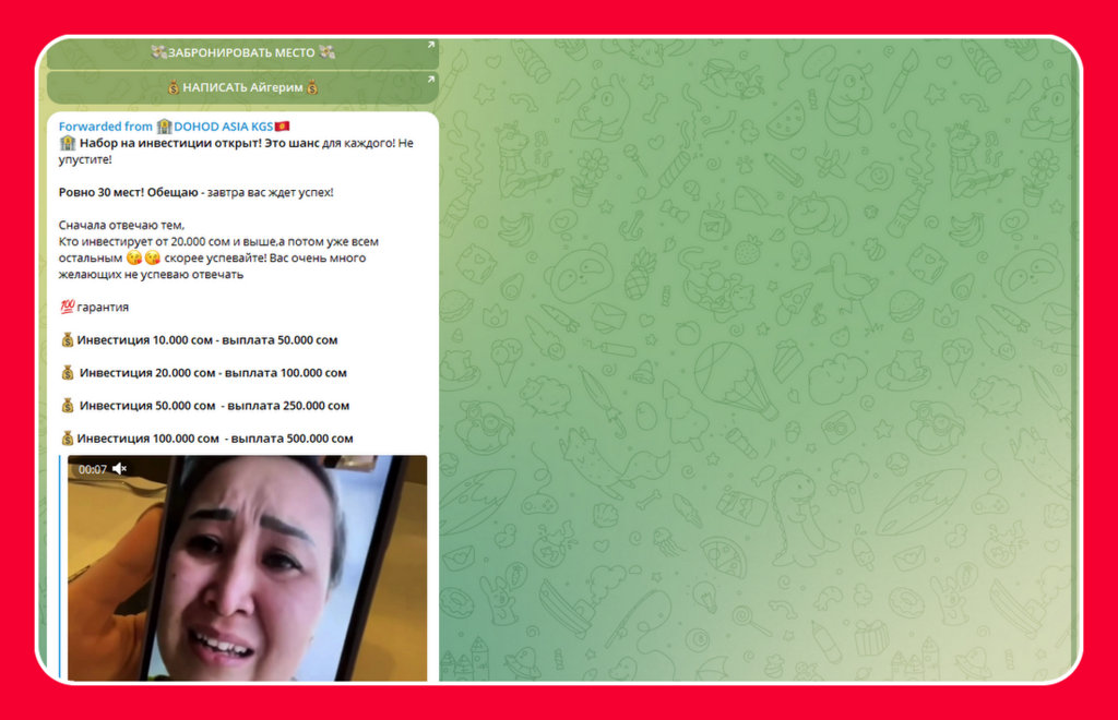 Граждан Кыргызстанат разводит "Айгерим Баурбекова" (@baurbekova_aiger1m; DOHOD ASIA KGS) — Вкладер